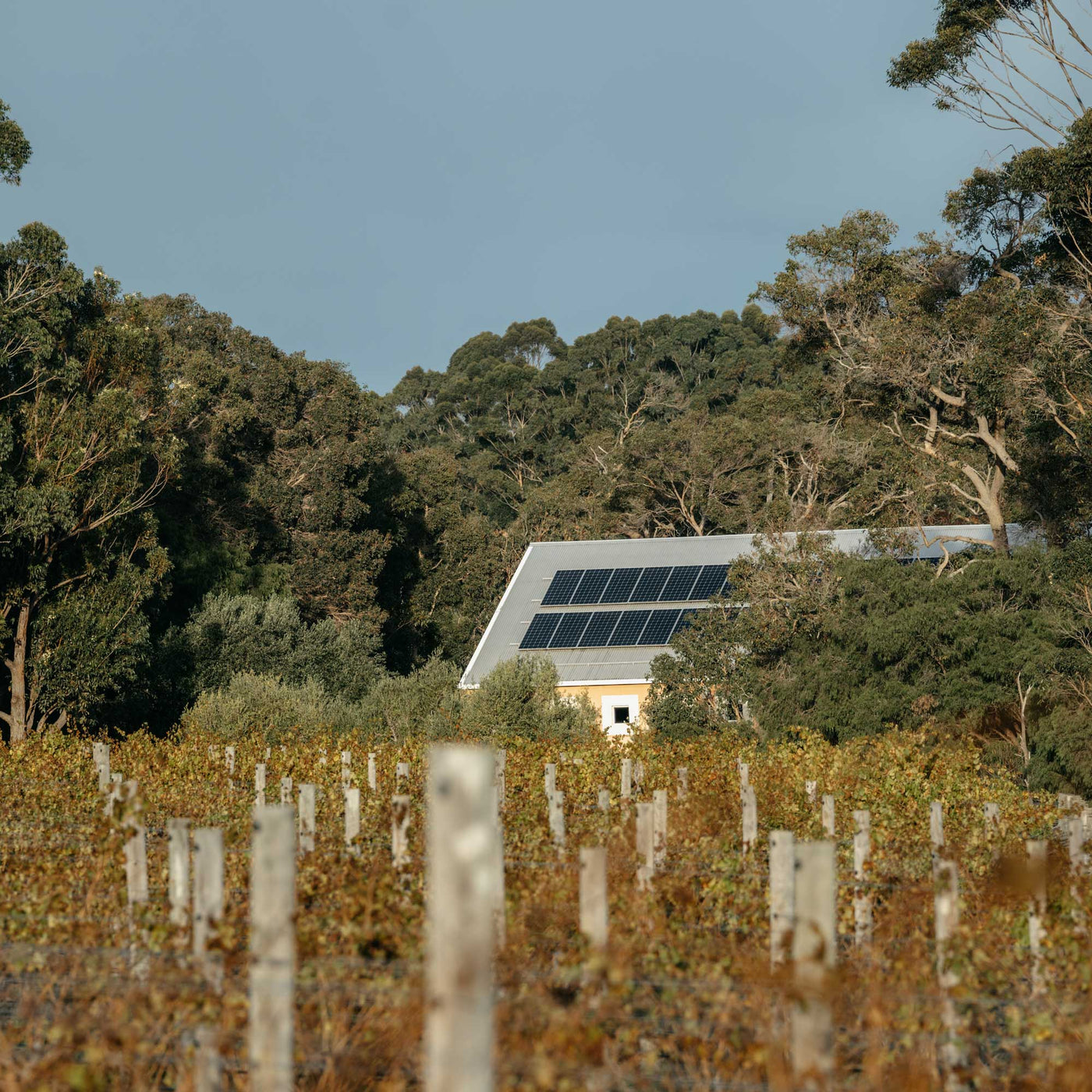 Fermoy Estate | Margaret River Winery & Cellar Door